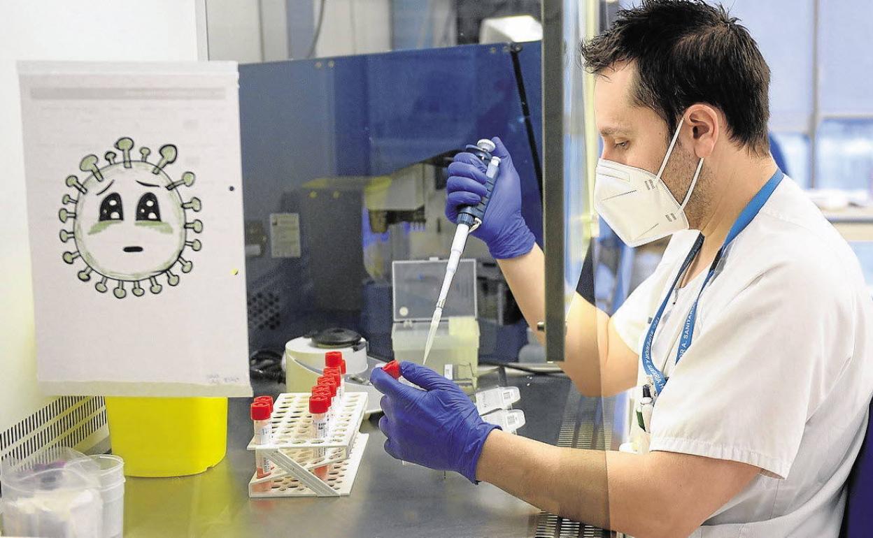 Los hospitales estudian retirar las PCR para realizar pruebas de diagnóstico en la región | El ...